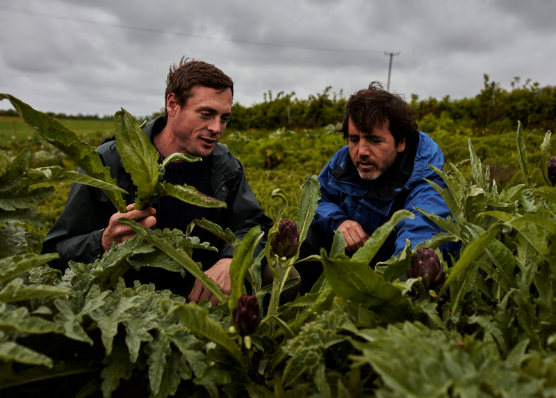 CODE visits Cornwall's Melilot Farm, home to the future of farming - CODE