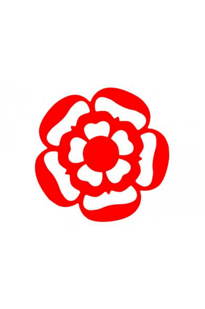 New AA rosettes awarded - three restaurants win four - CODE