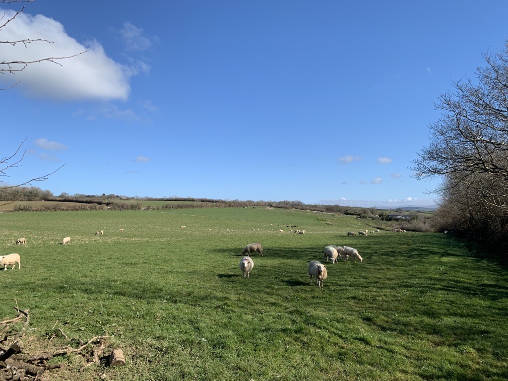 Former L'Enclume chef Dan Cox to open The Granary at Crocadon Farm - CODE