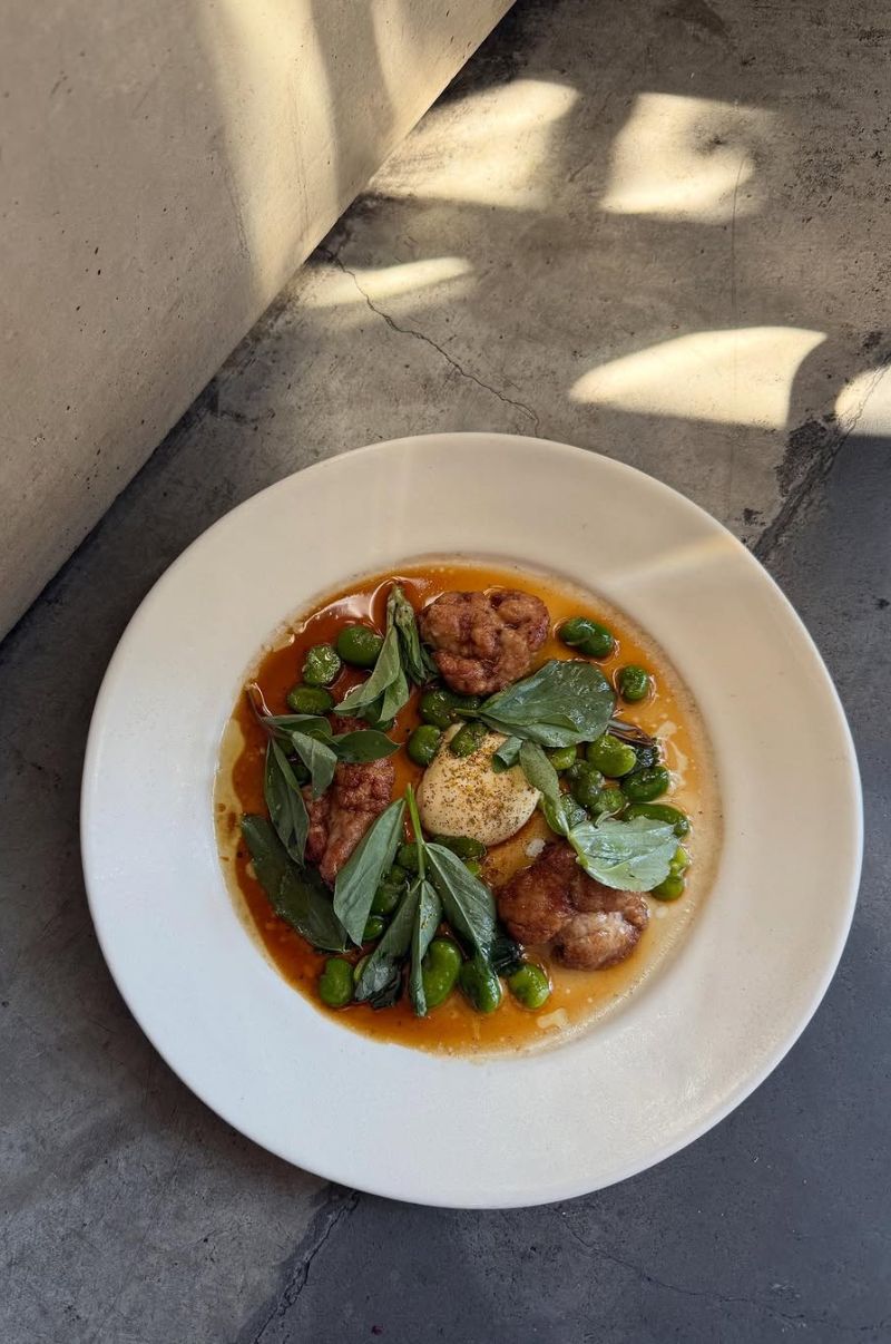 All the latest hospitality news from the CODE Bulletin